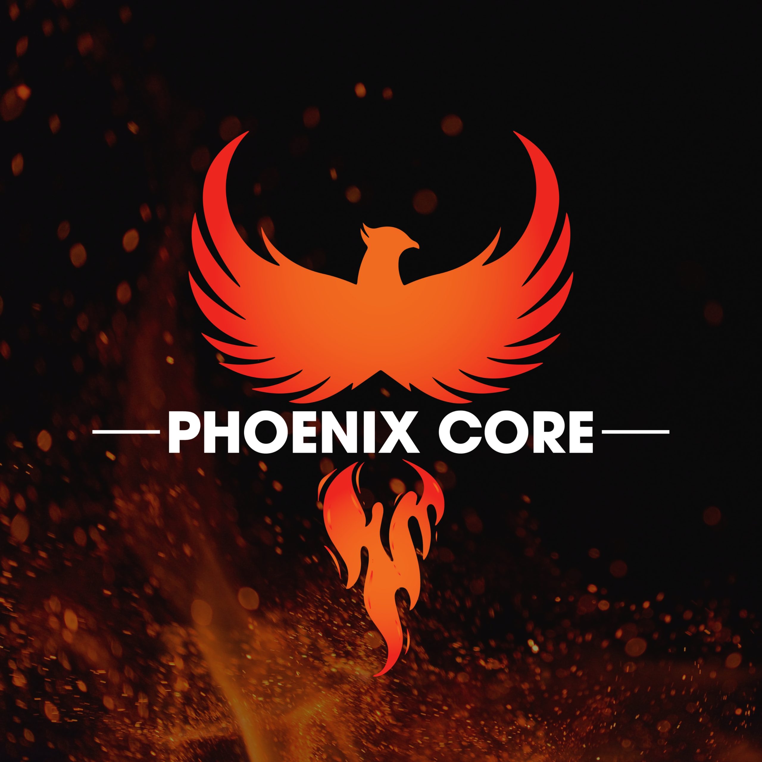 Self-Discovery & Skills Enhancement | Phoenix Core